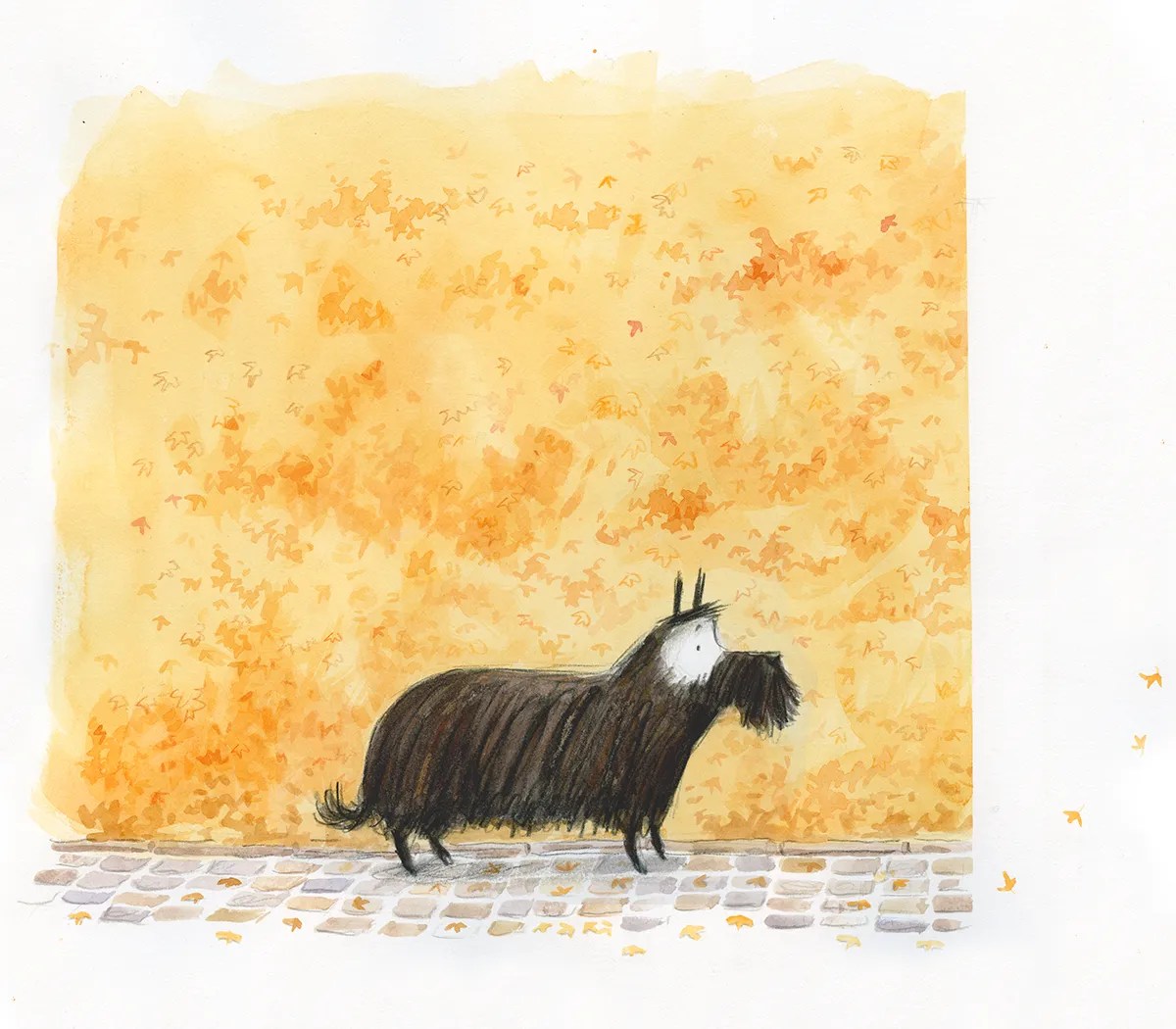 Illustrations – Gabriel Evans